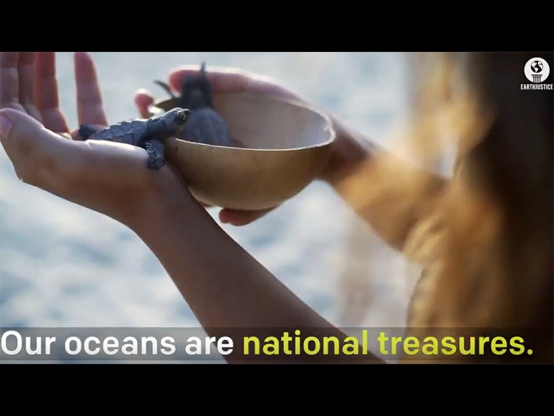 Stop Oil Drilling in the Everglades | Earthjustice