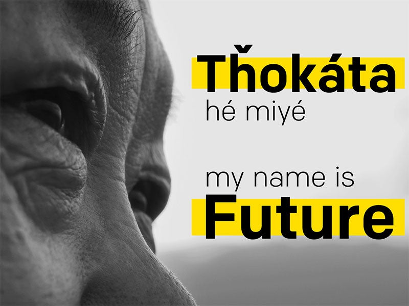 Stop Oil Drilling in the Everglades | Earthjustice