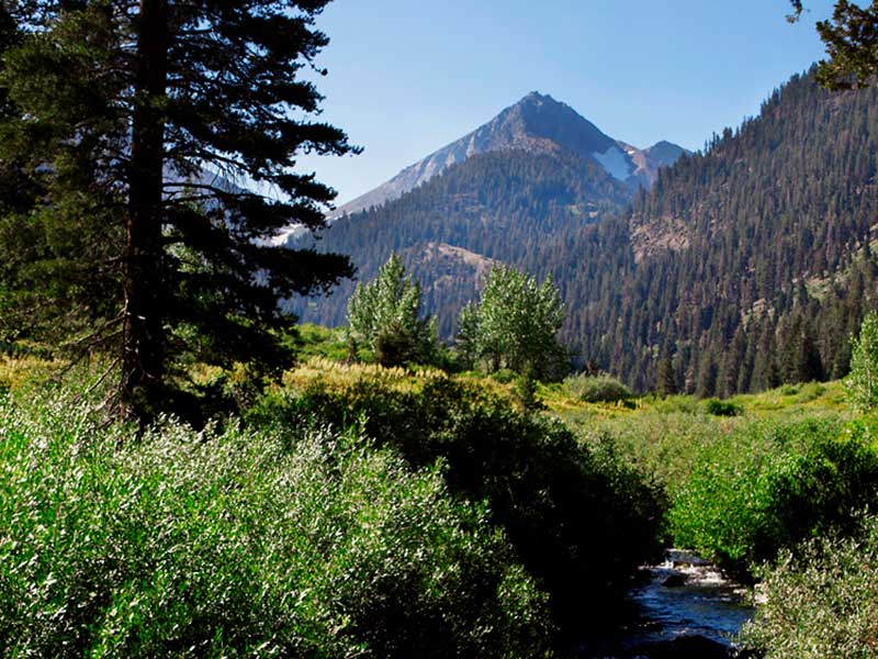 Our History - Earthjustice