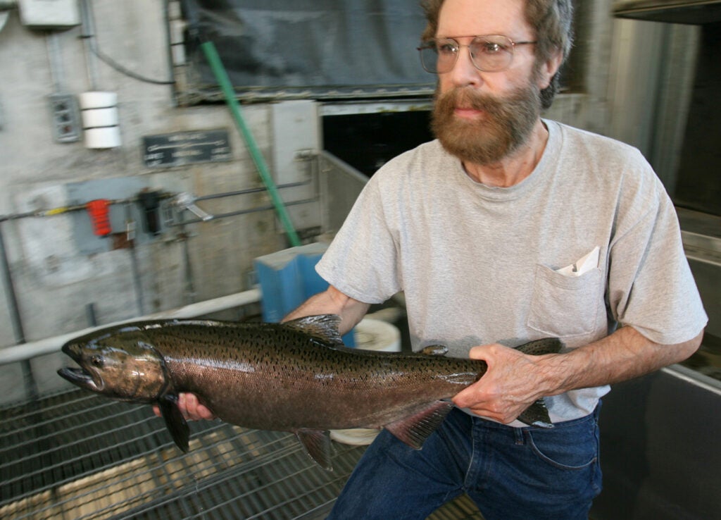 Timeline: A Long Fight to Restore Snake River Salmon - Earthjustice