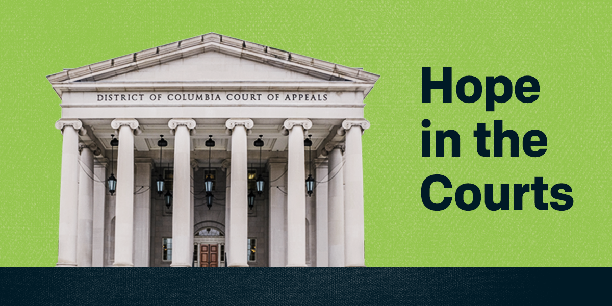 3 Reasons to Be Hopeful About the Courts - Earthjustice