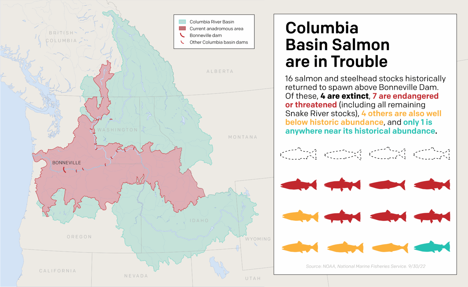 Columbia Basin Salmon in Peril - Earthjustice