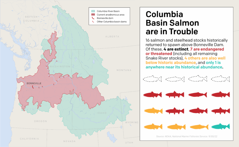 Columbia Basin Salmon in Peril - Earthjustice