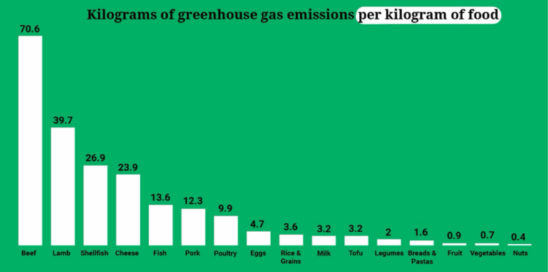 Tyson Foods Agrees to Stop Making ‘Net-zero’ and ‘Climate-smart Beef ...