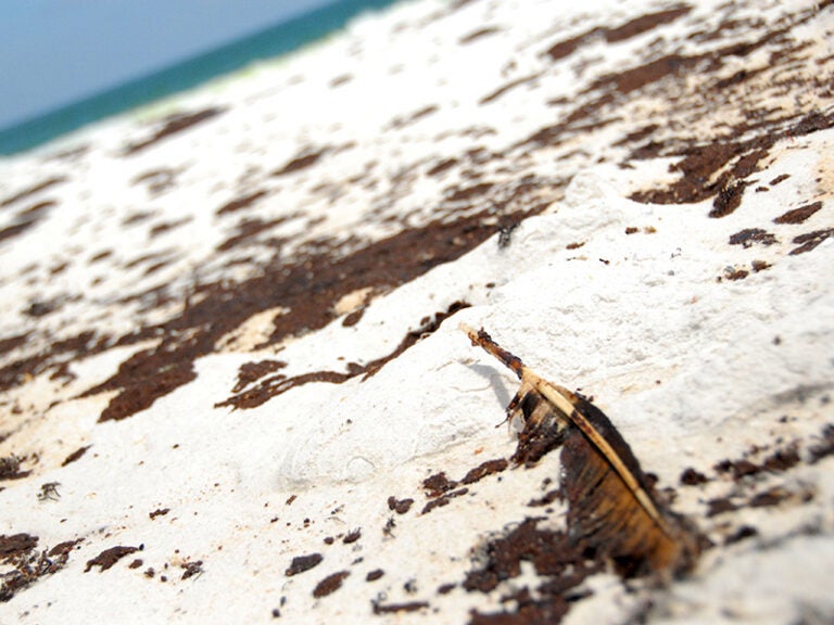 BP Atlantis Gulf Oil Rig - Earthjustice