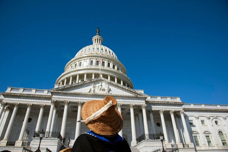 This Treasured Alaska Rainforest Shields Us From Climate Change ...