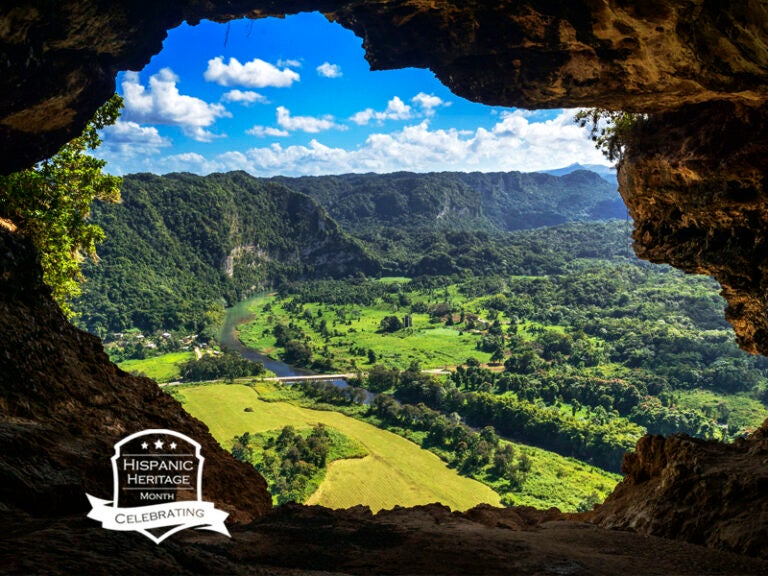 A Fight Worth Fighting: Waste Incineration in Puerto Rico - Earthjustice