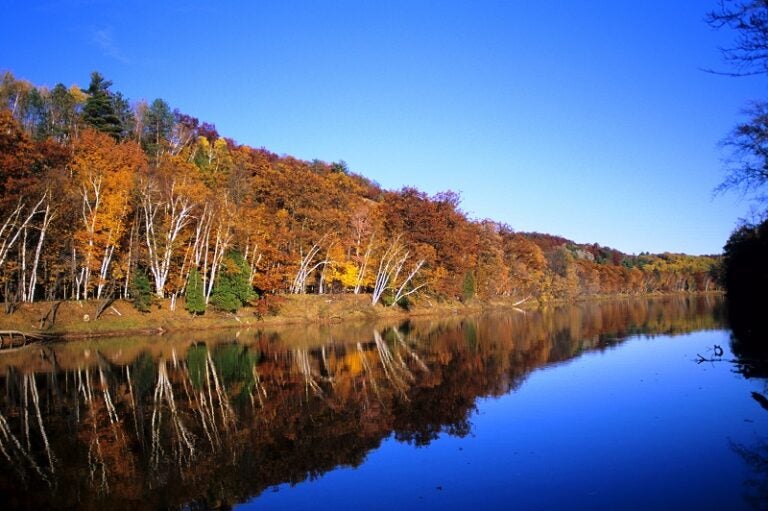 Protecting the Menominee River from the Back Forty Mine - Earthjustice