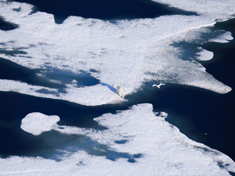 Working Green: Alaska Office - Earthjustice