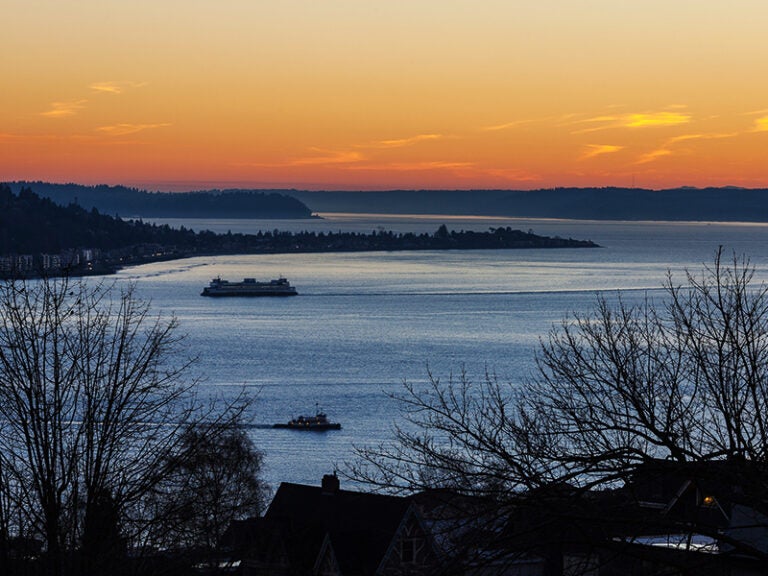 WA Supreme Court: Developers Can’t Evade Water Pollution Standards ...