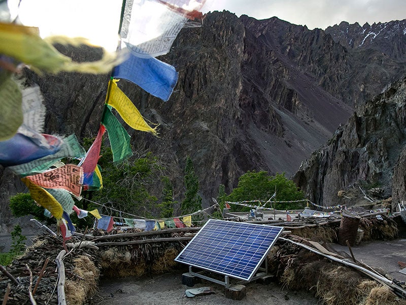 International Program - Earthjustice