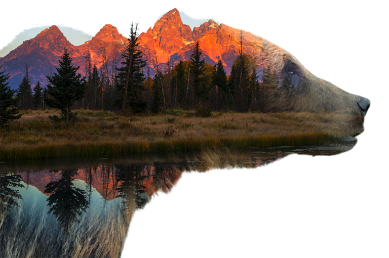 Our Core Values - Earthjustice